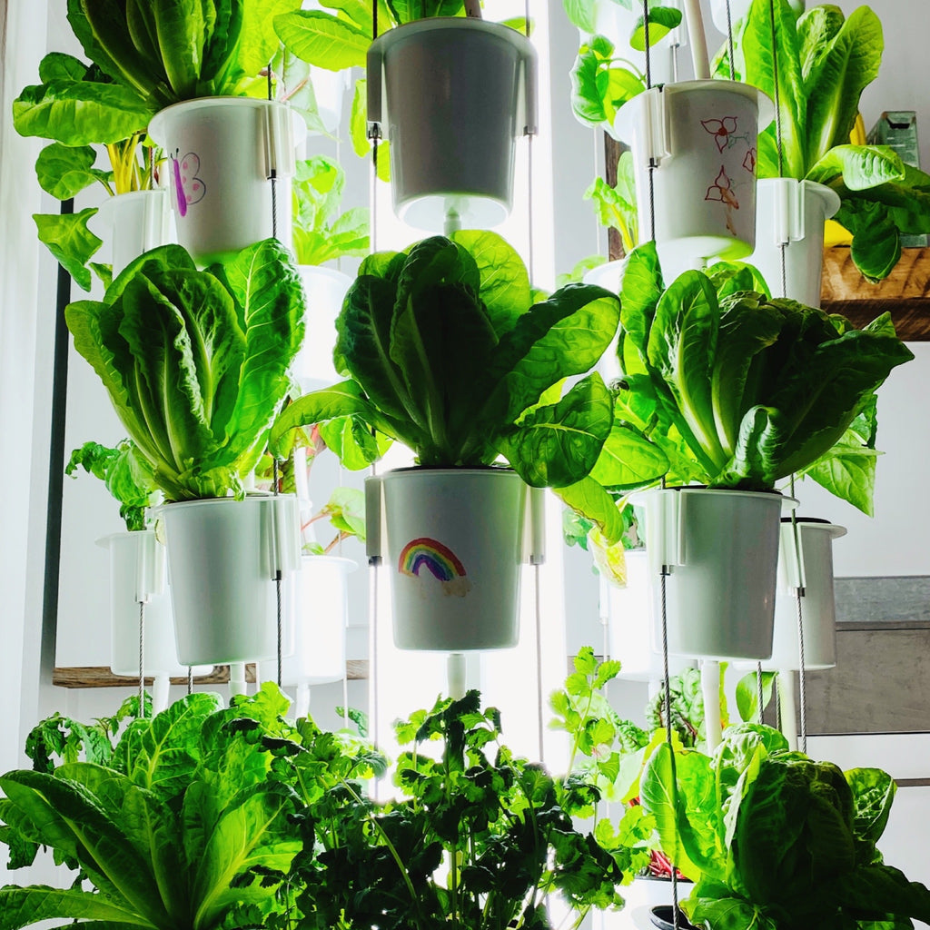 The Nutritower R.O.I – nutritower.com